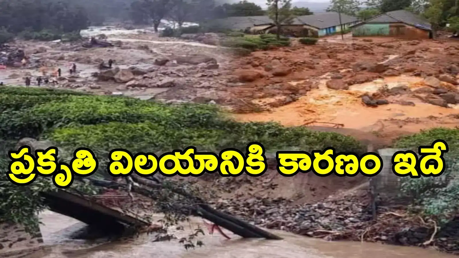 కేరళ వరదలు,Wayanad Landslides: వయనాడ్‌ విలయానికి కారణం ఇదేనా.. ముందే ...