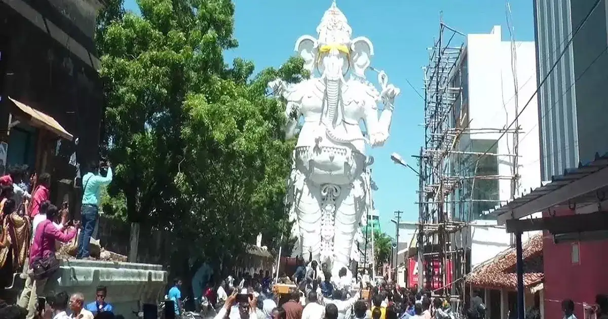 Nagapattinam News,இந்தியாவிலேயே முதல் முறை.. 32 அடி உயரத்தில் அத்தி ...