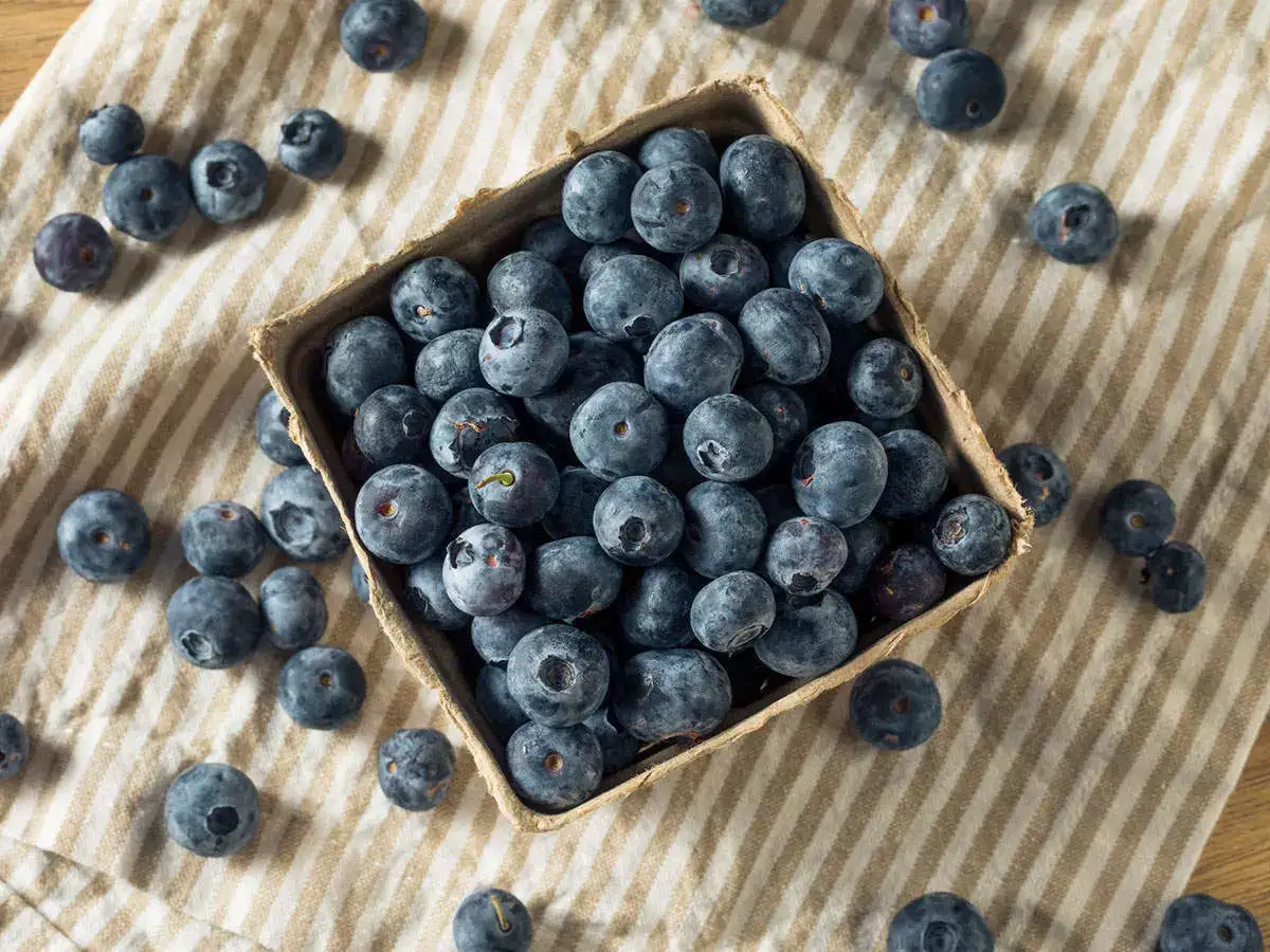 Blueberry Benefits,ரத்த சர்க்கரை அளவை கட்டுப்படுத்தும் அற்புத பழம் ...