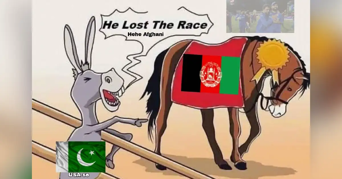 Memes: South Africa beat Afghanistan and reach final in T20 World Cup ...