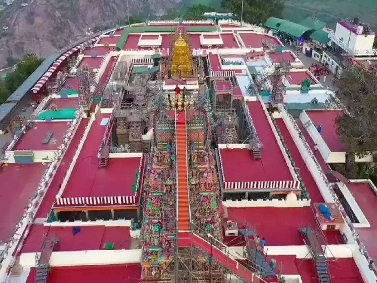 Nadaswaram Thavil Prohibited In Palani Temple,பழனி முருகன் கோவில் ...