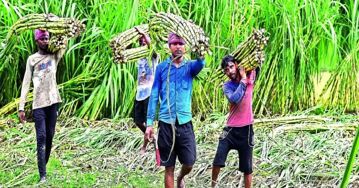 Income Tax on Farmers Modi Govt Can Start Taxing Rich Farmers, Asserts ...