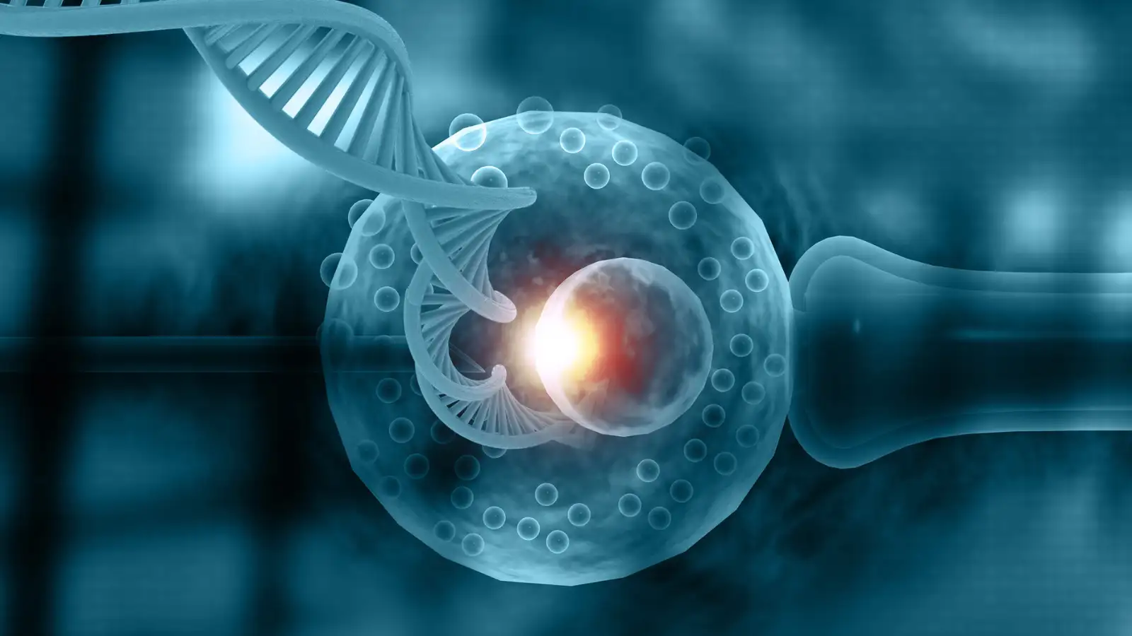 Mitochondrial DNA Testing & Female Fertility: How It Supports IVF Success