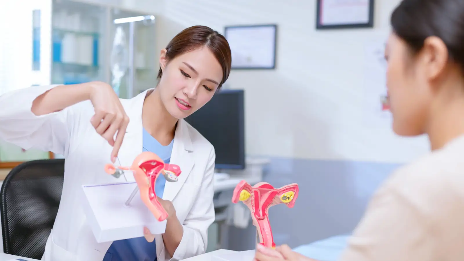 Fallopian Tubes and Fertilisation: Role in Early Pregnancy
