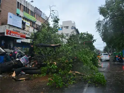 Gaza Cyclone,गज चक्रीवादळाचा तडाखा; १३ जणांचा मृत्यू - cyclone gaza ...