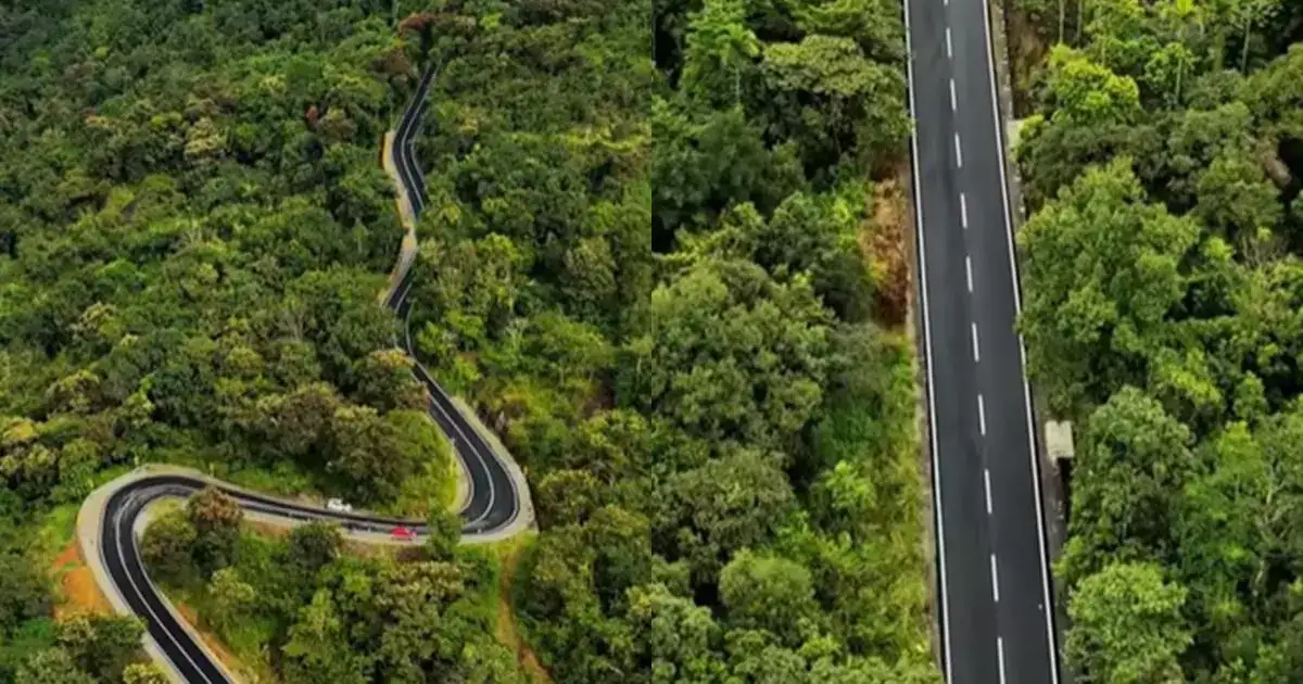 Ilaveezhapoonchira Road: ഓഫ് റോഡിന് വിട, ഇലവീഴാപൂഞ്ചിറയിലേക്ക് ഇനി 'ഓ ...