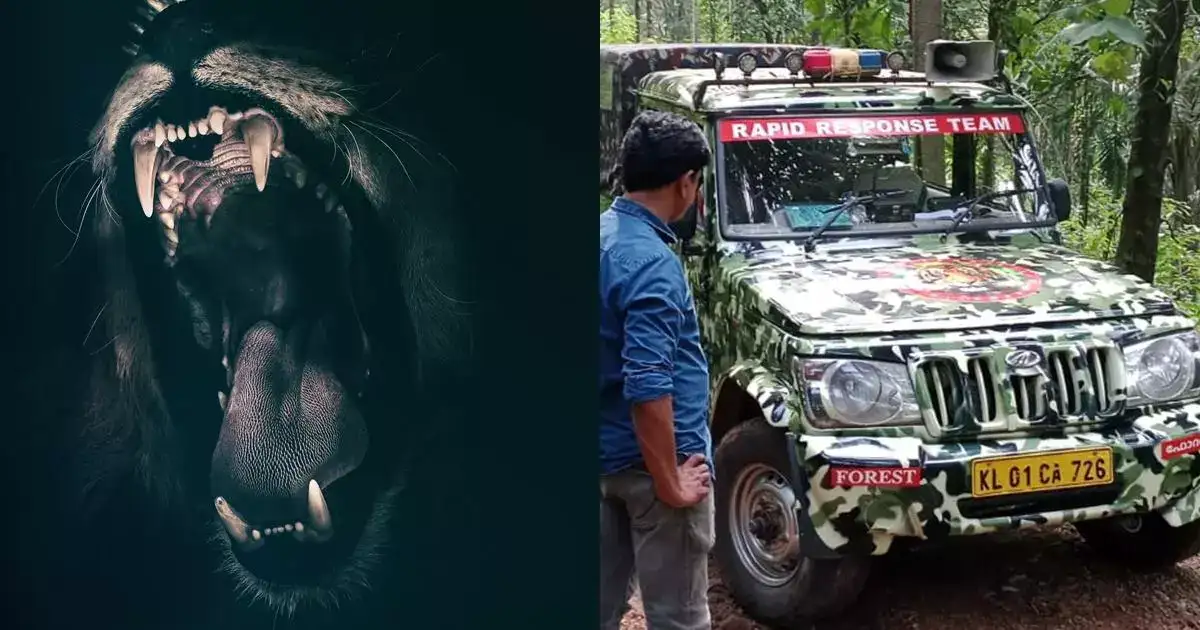 Unknown Animal Attack in Malappuram: ആടിനെയും നായയെയും കൊണ്ടുപോകുന്ന ...