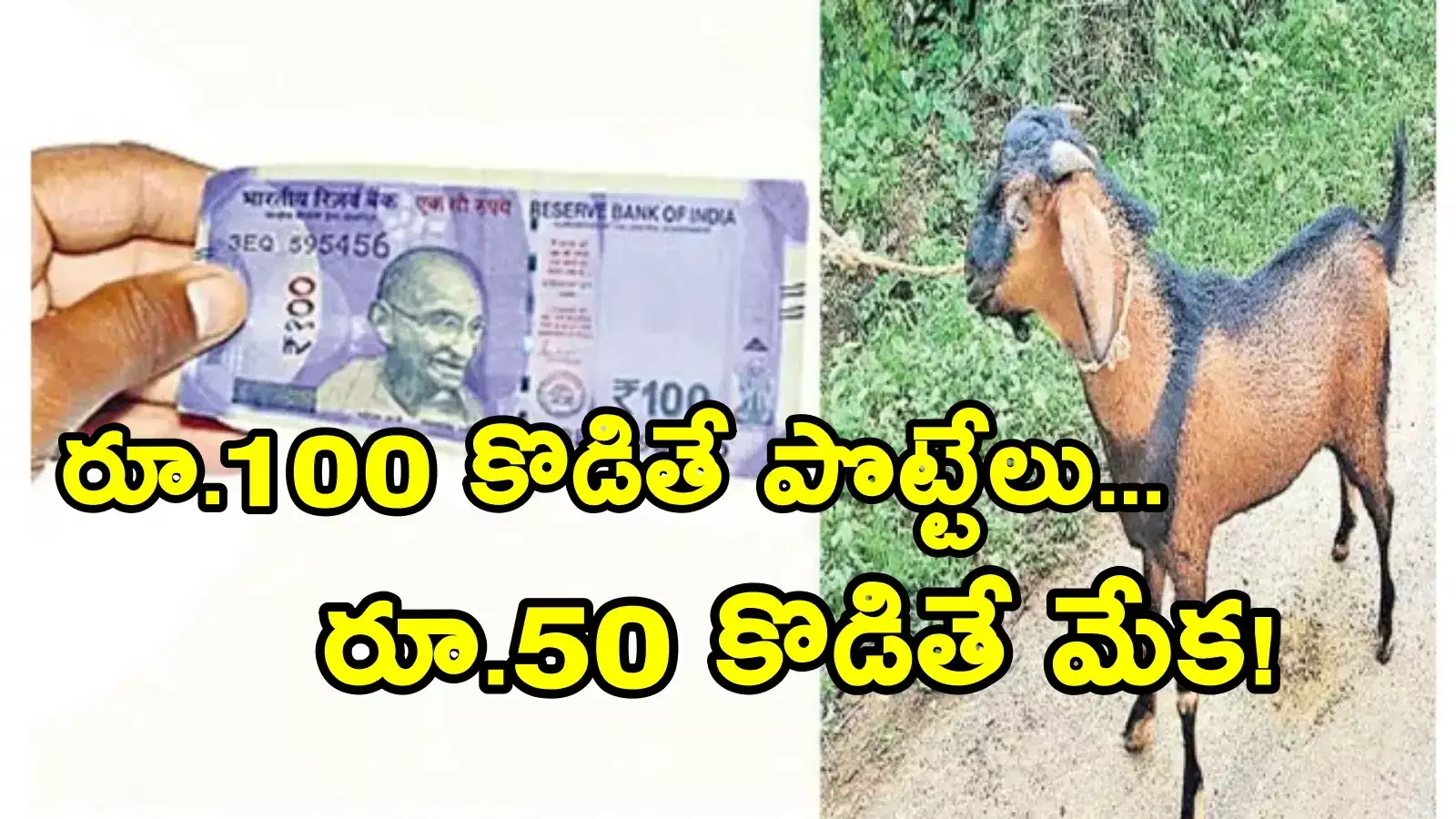 Illegal Lottery Schemes Witness in Telangana Villages During Dussehra ...