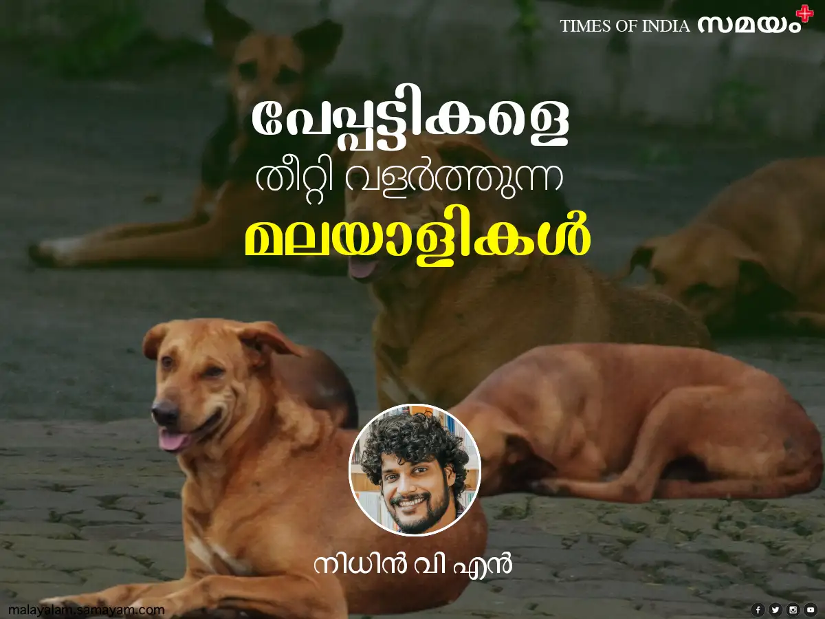 Kerala Rabies Cases,പേവിഷബാധ പുറപ്പെടുന്നത് തീൻമേശകളിൽ നിന്നോ? - why ...