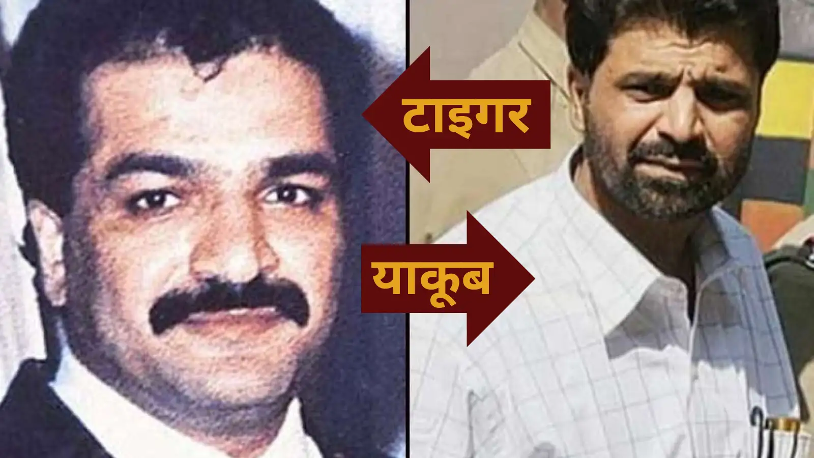 Tiger Memon Net Worth,टाइगर मेमन का परिवार प्रॉपर्टी खाली कर केंद्र को ...