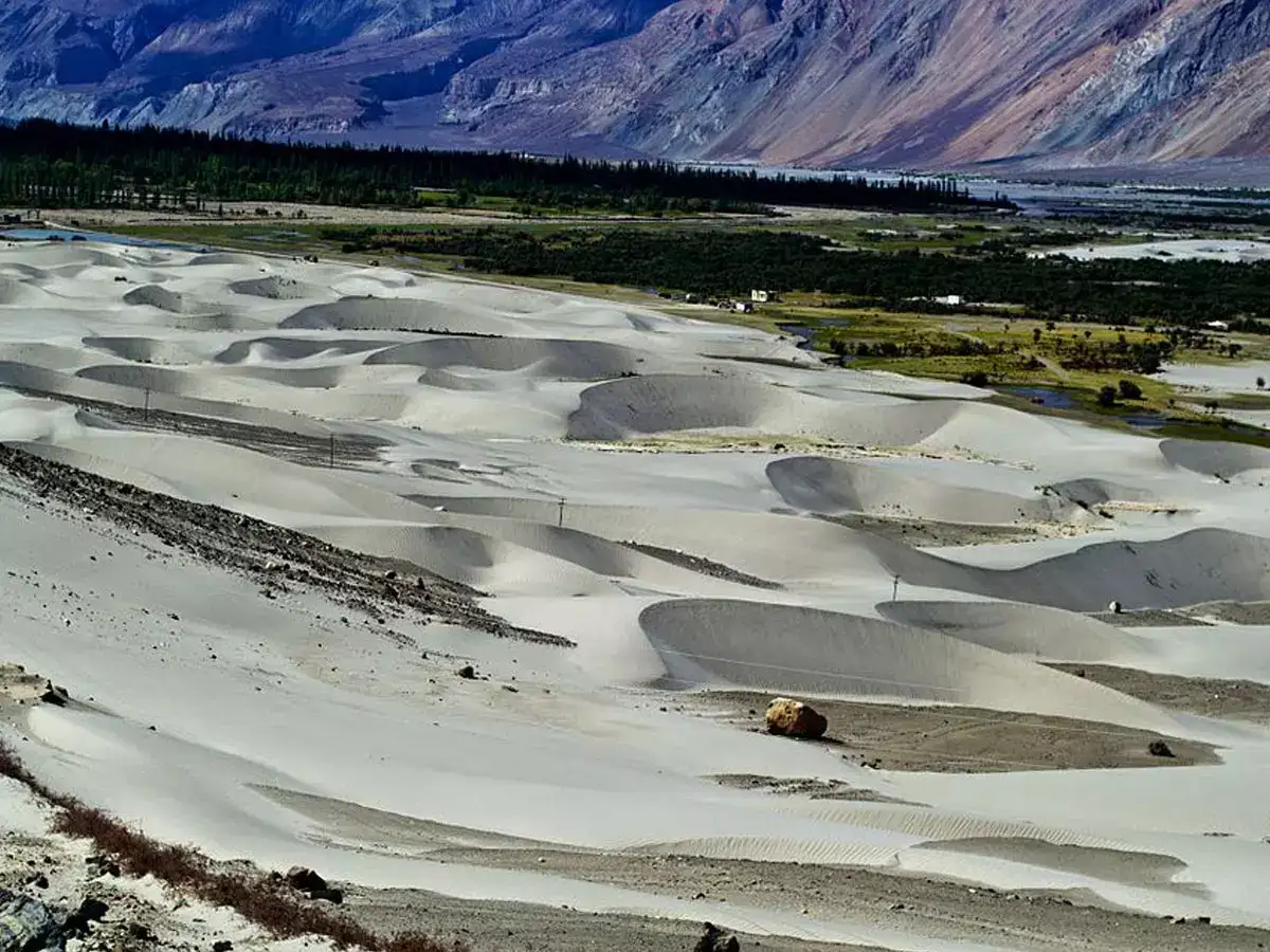 Snow Desert Sumoor In Ladakh,ലഡാക്കിലെ 'മഞ്ഞ് മരുഭൂമി' സുമൂര് ...