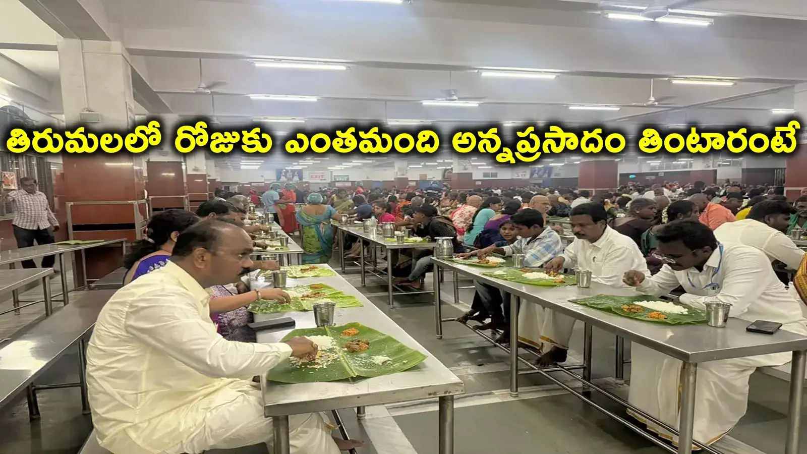TTD Eo Review On Annaprasadam Wing Serves Food to Devotees Daily in ...