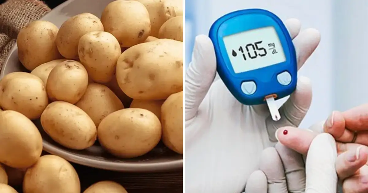 Can A Diabetic Eat Potatoes Every Day,Potato in Diabetes: गलत तरीके से ...