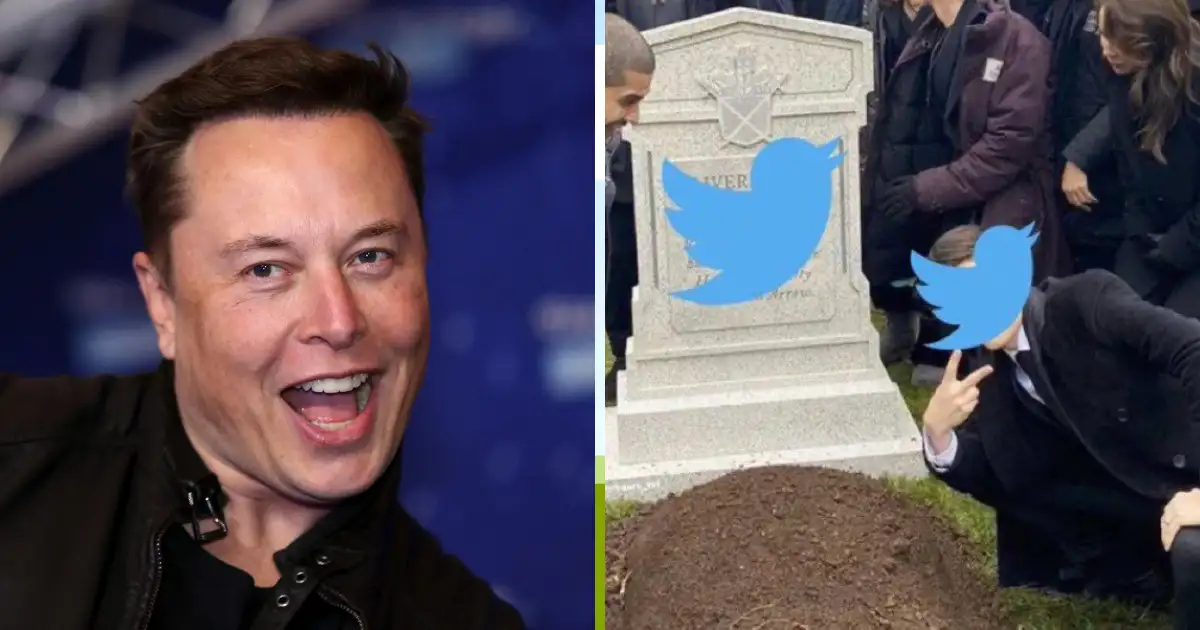 Rip Twitter,RIP Twitter Meme சேட்டையில் மீம் கிரியேட்டர்களுடன் சேர்ந்து ...