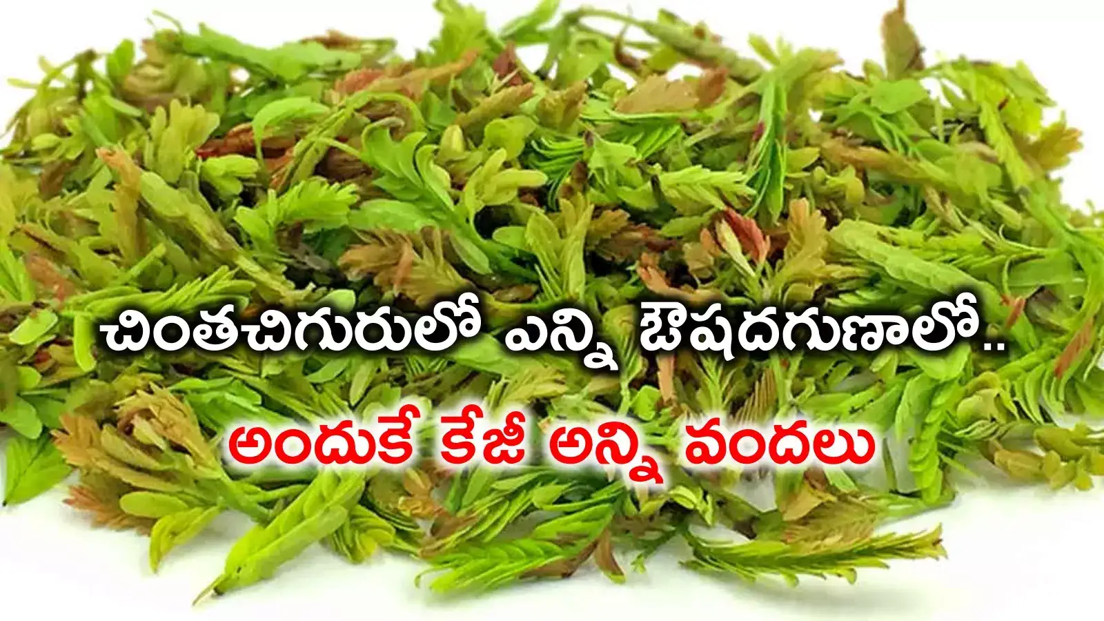 Chinta Chiguru Price,అత్యంత ఖరీదైన కూరల్లో ఒకటిగా చింతచిగురు.. ఇందులో ...
