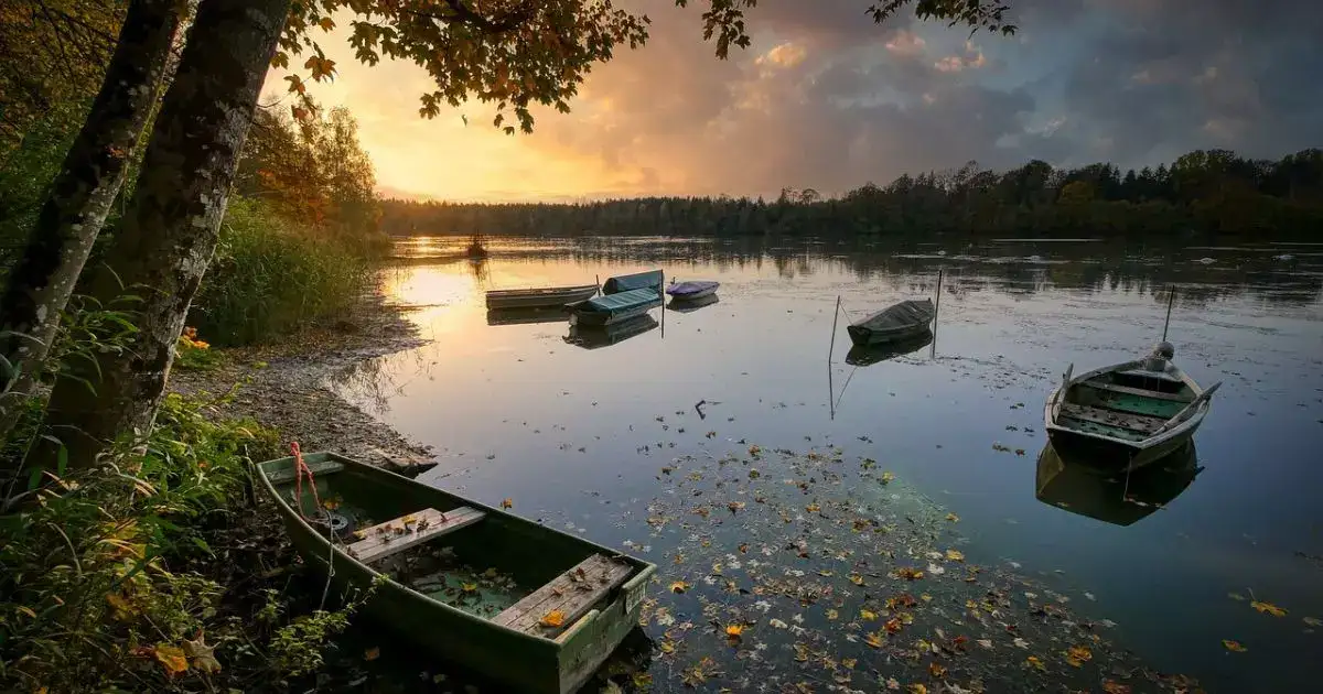 Timarpur Lake,ದೆಹಲಿ: ಈ ಸುಂದರವಾದ ಸರೋವರ ಹೊಸ ಪ್ರವಾಸಿ ತಾಣವಾಗಲಿದೆ - do you ...
