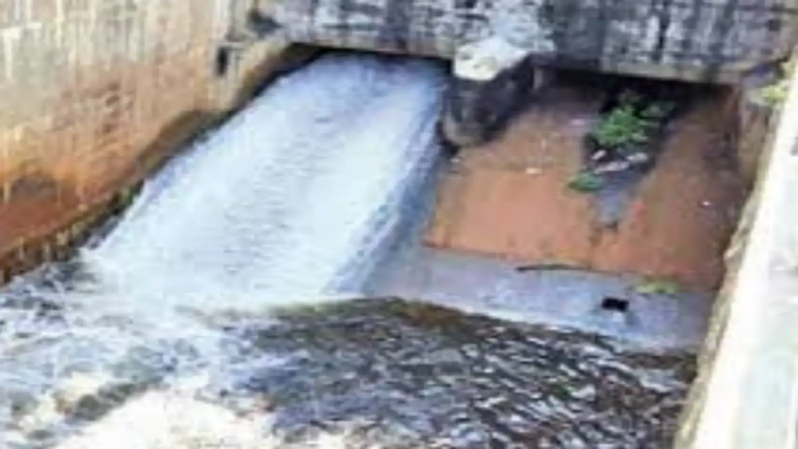 திண்டுக்கல் பாலாறு பொருந்தலாறு அணையில் இருந்து 120 நாட்கள் தண்ணீர் திறப்பு.... விவசாயிகள் ...