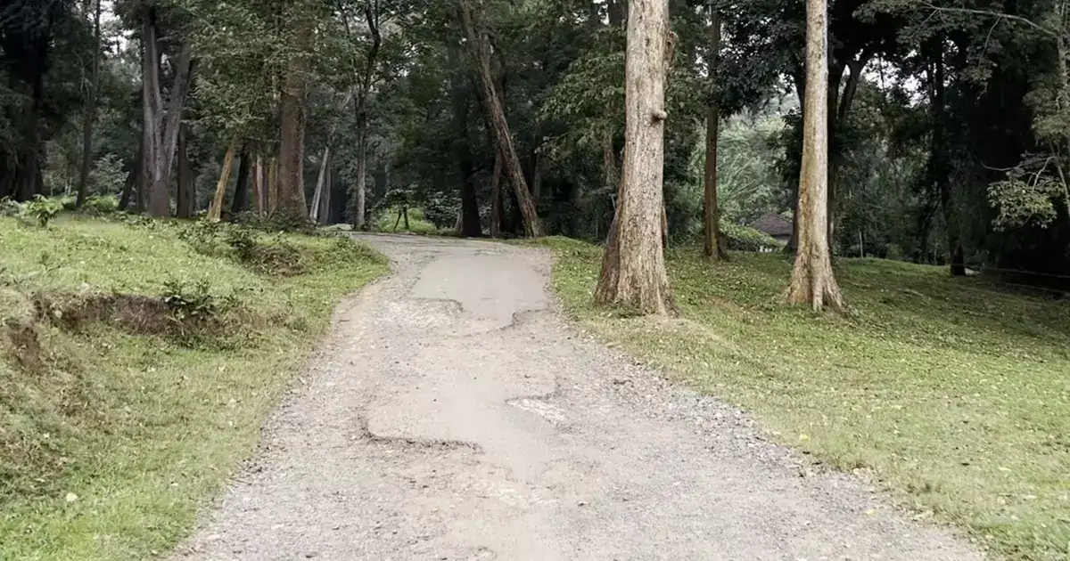 Wayanad Chekadi Road Issue,ആനയും കാട്ടുപോത്തുമൊക്കെയുണ്ട്; ഇവിടെ യാത്ര ...