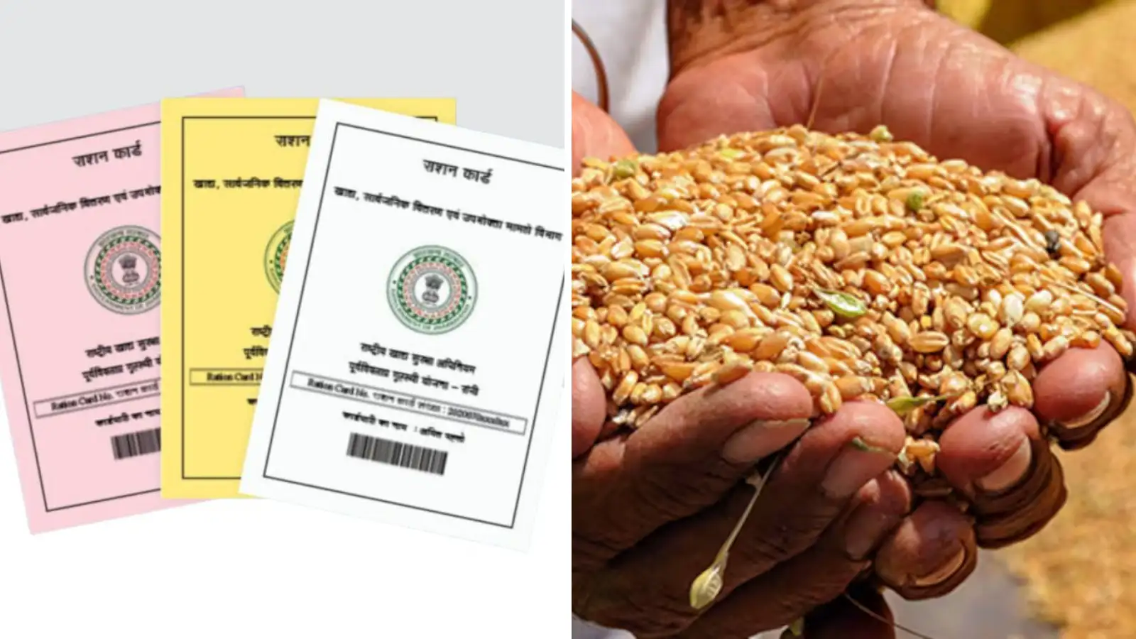 ration card ekyc status check online process: सरकारी राशन लेने के लिए ...