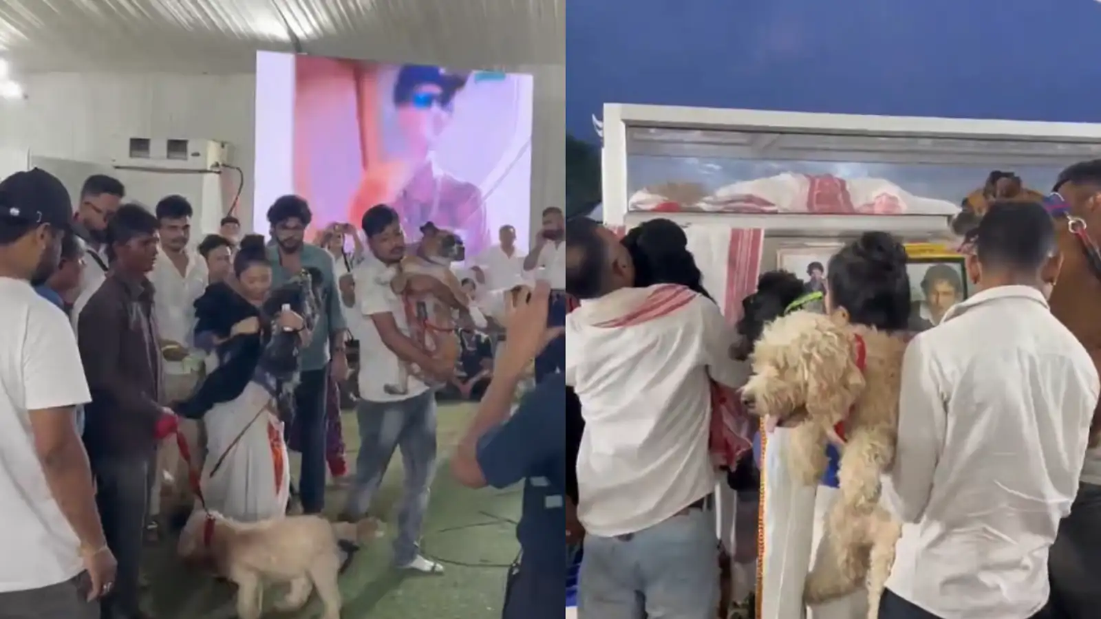 Zubeen Garg's dogs pay quiet tribute;Zubeen Garg last Rites : इको, दिया ...
