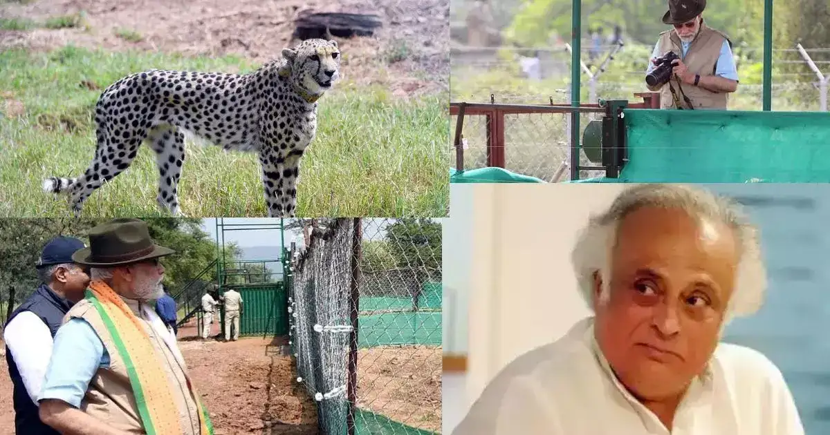 PM Modi Birthday: 'पीएम ने चीते छोड़ने का तमाशा खड़ा किया... मेरा जिक्र ...