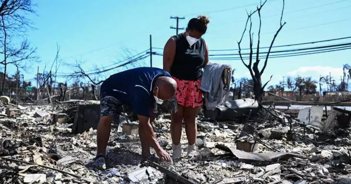 Maui Hawaii Fire News: Hawaii wildfire death toll is almost 100 people ...