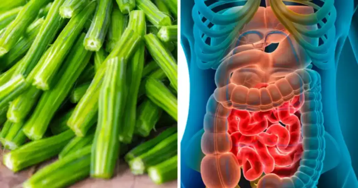 How To Detox And Cleanse The Gut Intestine Stomach And Get Relief From ...