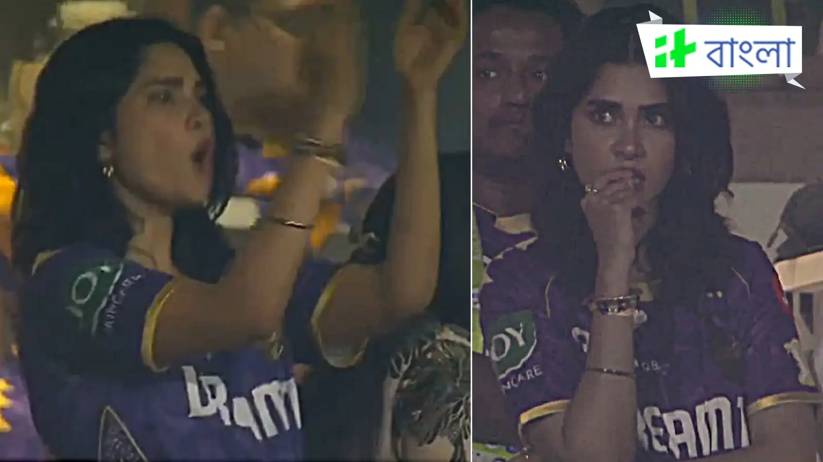 Ipl 2025,ইডেনে সুন্দরী কেকেআর ফ্যানকে দেখে তোলপাড় নেটপাড়া! যুবতীর নাম ...