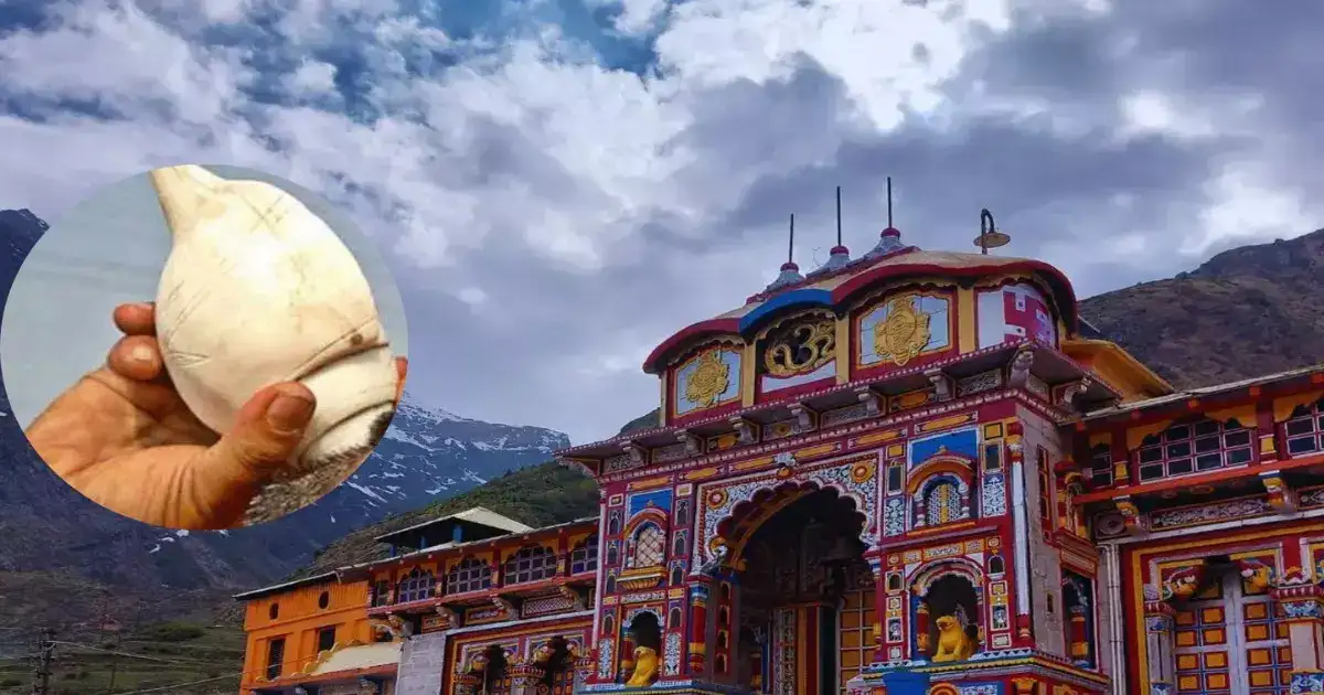 Secret of Badrinath: No Conch Shell Sounded : बदरीनाथ मंदिर में क्‍यों ...