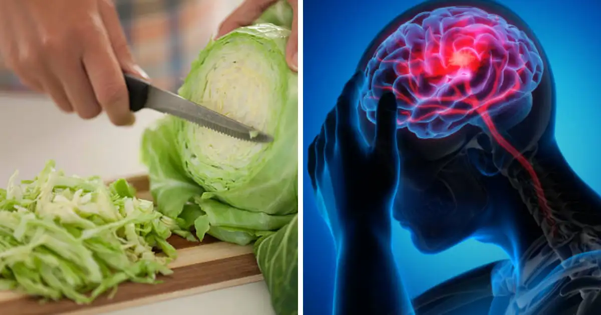 cabbage tapeworm harmful for human brain; माणसांच्या मेंदूसाठी कोबीतील ...