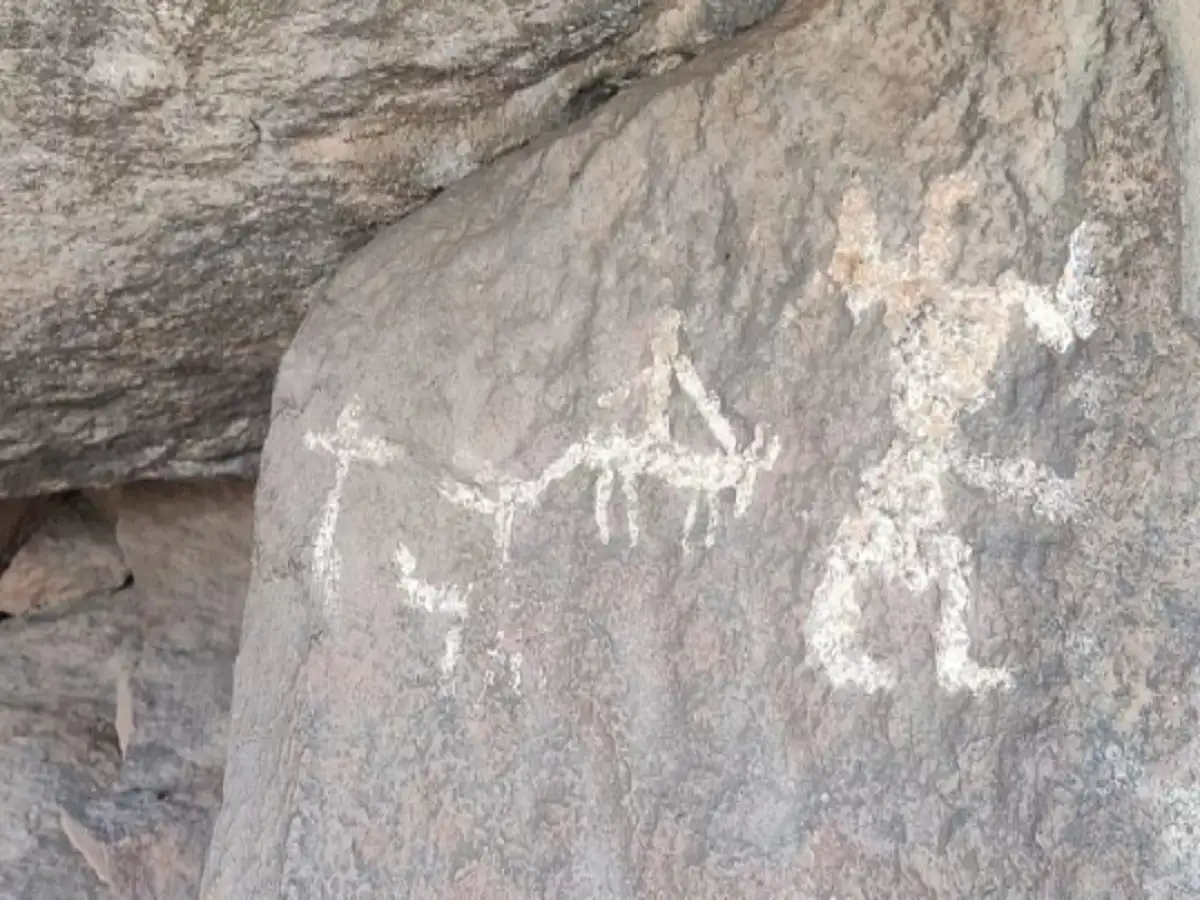 Rock Painting,கிருஷ்ணகிரி; புதிதாக பாறை ஓவியம் கண்டறியப்பட்டுள்ளது! - a ...