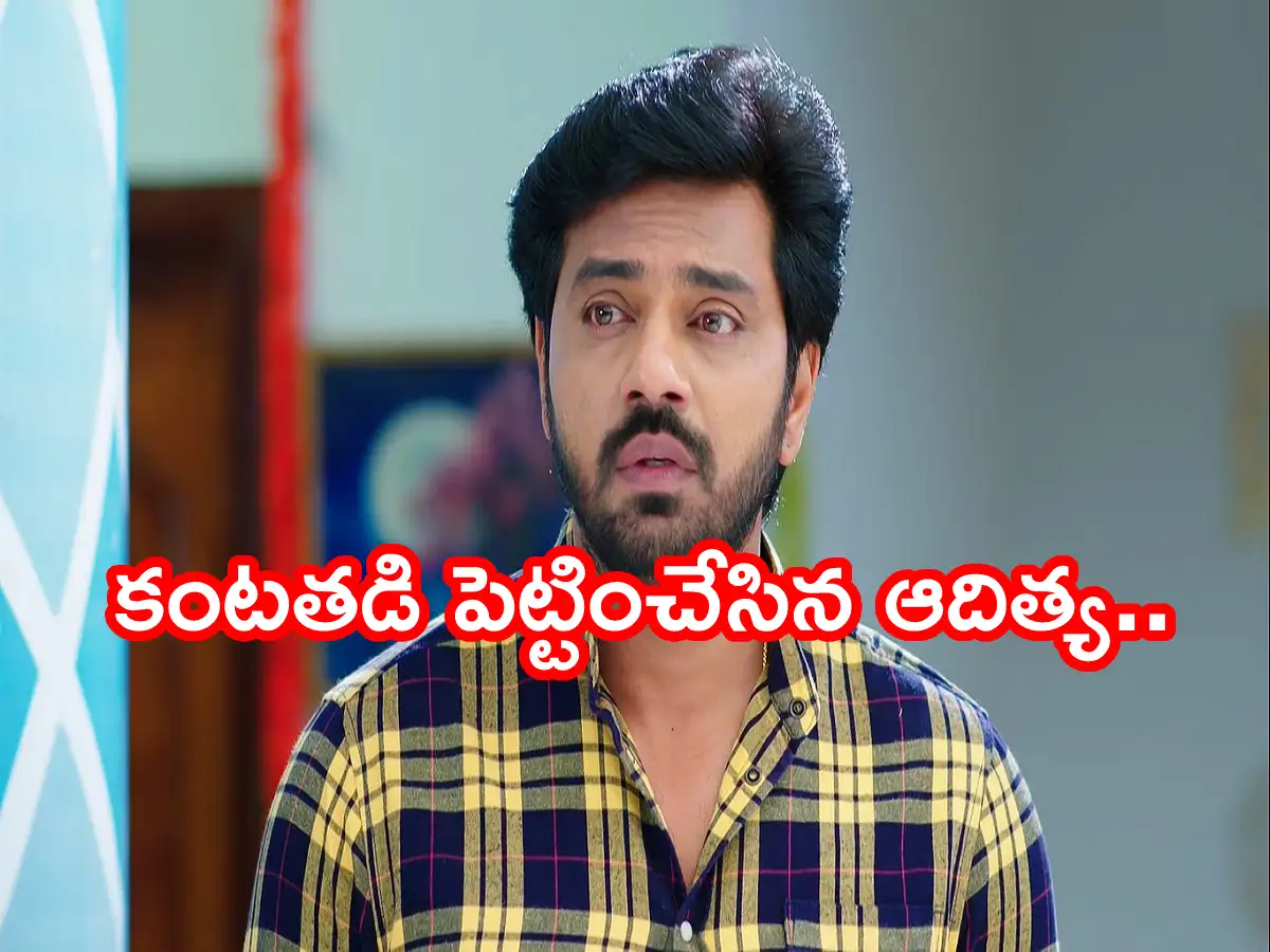 Devatha Serial,Devatha ఫిబ్రవరి 1 ఎపిసోడ్: ‘పిల్లల్ని కలవద్దు’ దేవుడమ్మ ...