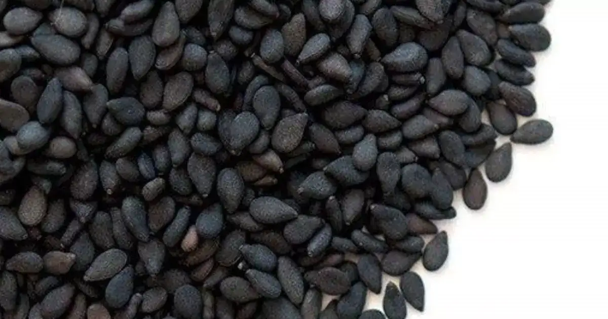 Sesame Seeds,ഒരു സ്പൂണ്‍ എള്ള് ദിവസവും കഴിയ്ക്കാം, കാരണം.... - why ...