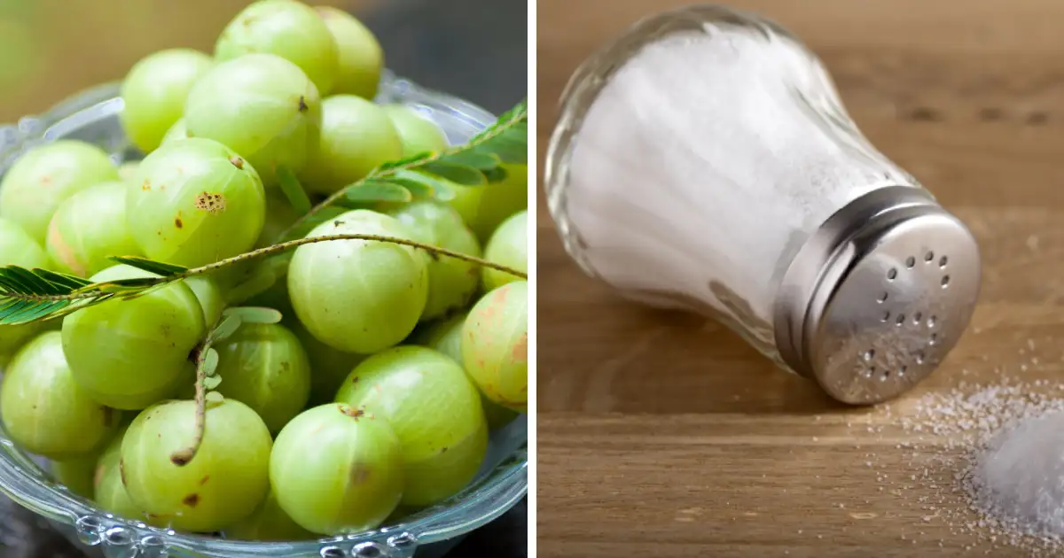 How To Eat Amla,नमक के बिना नहीं खाना चाहिए आंवला, डॉक्टर ने बताया सही ...