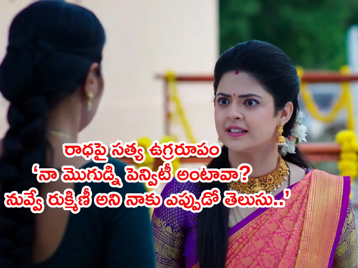 Devatha Serial,Devatha అక్టోబర్ 8 ఎపిసోడ్: ‘నా మొగుడ్ని పెన్విటీ అంటావా రుక్మిణీ?’ రాధపై సత్య ...