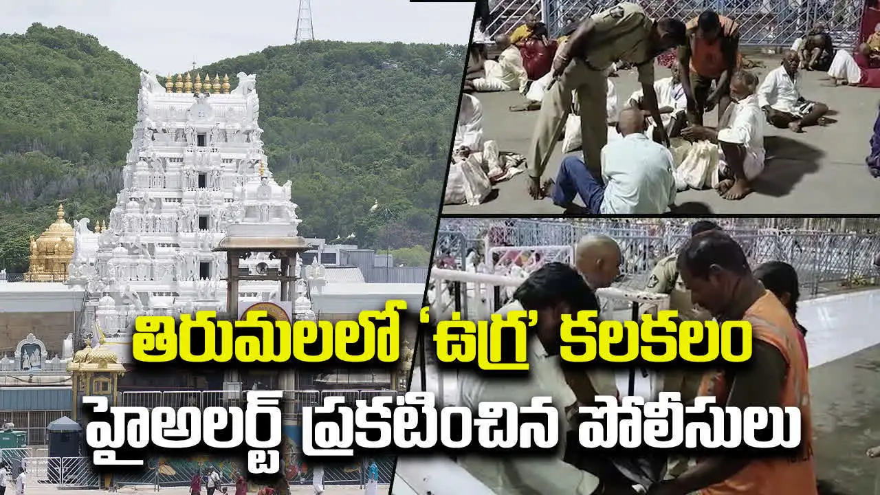 Tirumala High Alert,తిరుమలలో హై అలర్ట్.. ఉగ్రవాదుల కదలిక అంటూ మెయిల్ ...
