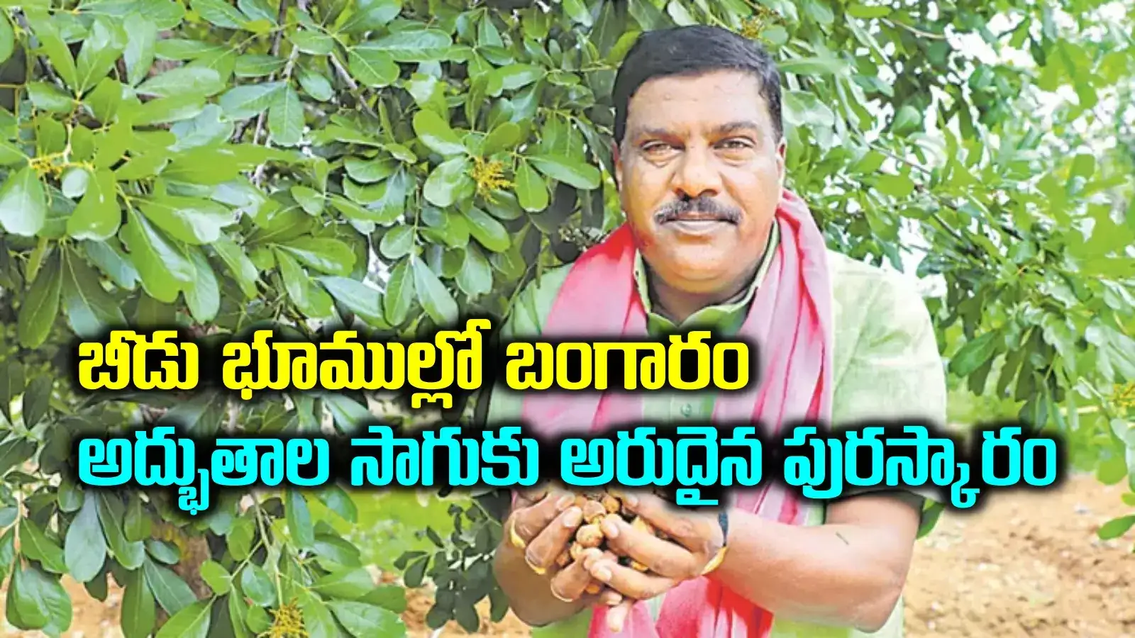 Nalgonda Farmer,జస్ట్ 5 వేల పెట్టుబడితో రూ.13 లక్షల ఆదాయం.. నల్గొండ ...