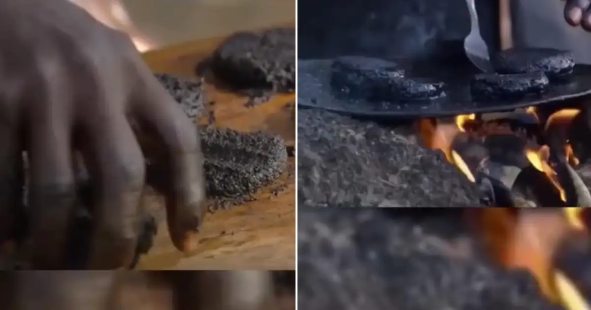 How to Make Mosquito Burger Weird Food Video - ५० हजार मच्छर पासून तयार ...