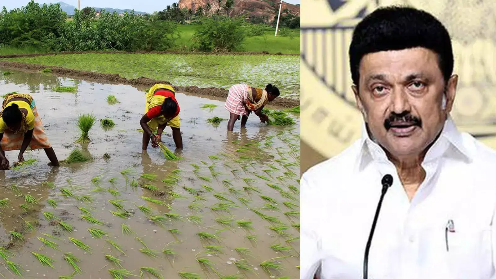 Nannilam Magalir Nilam Udamai Scheme:'நன்னிலம் மகளிர் நில உடைமை திட்டம் ...