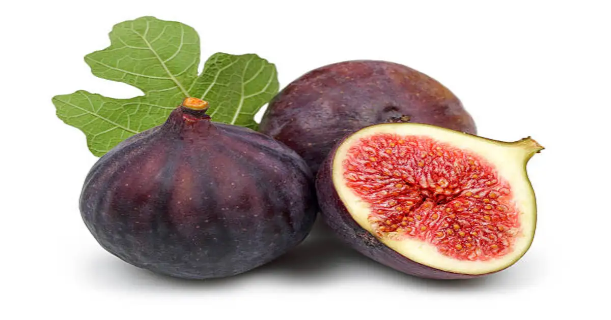 What Is Himalayan Fig,Himalayan fig health benefits: ప్రధాని మోదీకి ...