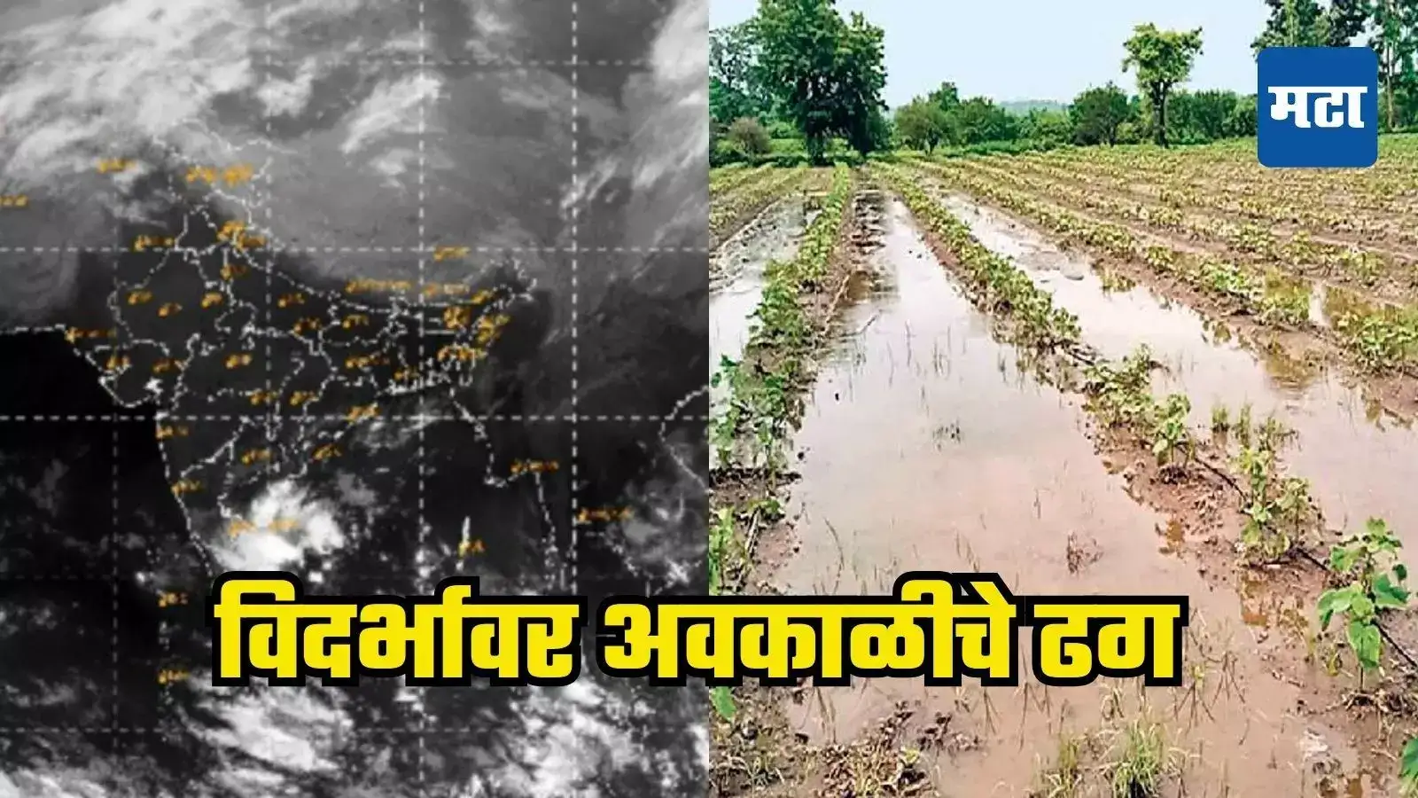 Maharashtra Vidarbha Marathwada Madhya Maharashtra Weather Update 17 April 2025 Rain Warning ...