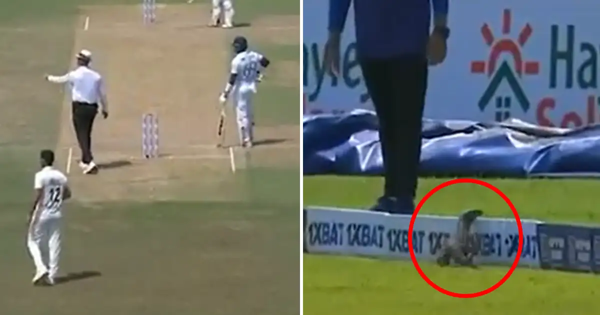 Monitor Lizard Entered in Cricket Ground Animal Video Viral - कसोटी मॅच ...