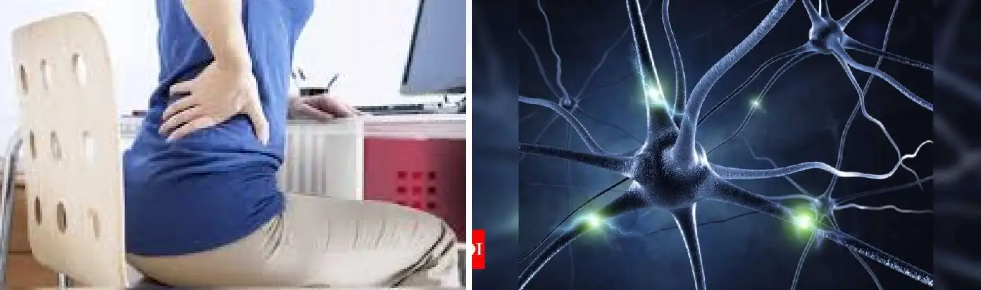 Narambu Vali,காயமில்லாத இடத்திலும் வலியை உண்டாக்கும் நரம்பு வலி ...