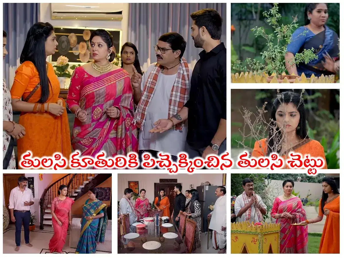 Intinti Gruhalakshmi Serial,Gruhalakshmi Today డిసెంబర్ 13 ఎపిసోడ్: దివ్యకి పిచ్చి.. లేనిది ...