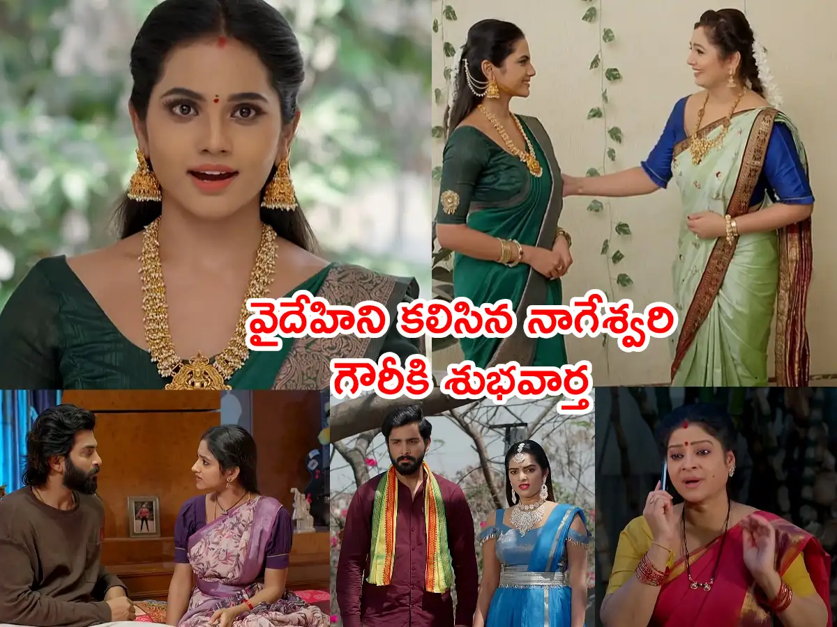 Naga Panchami Serial,Naga Panchami Today: శత్రుగణాన్ని కనిపెట్టిన పంచమి ...