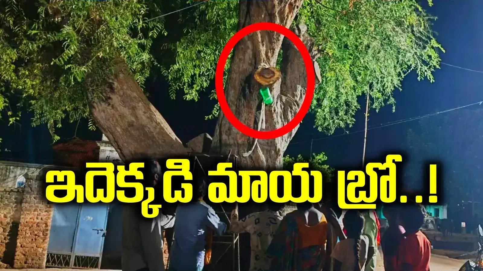 White Water From Tamarind Tree In Jagtial,జగిత్యాలలో వింత ఘటన ...