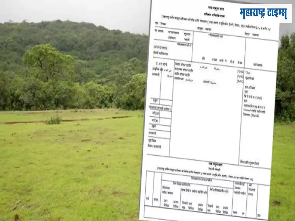 Satbara Utara Online,सातबारा उताऱ्यावर नाव, क्षेत्रांमध्ये चूक झालीय ...