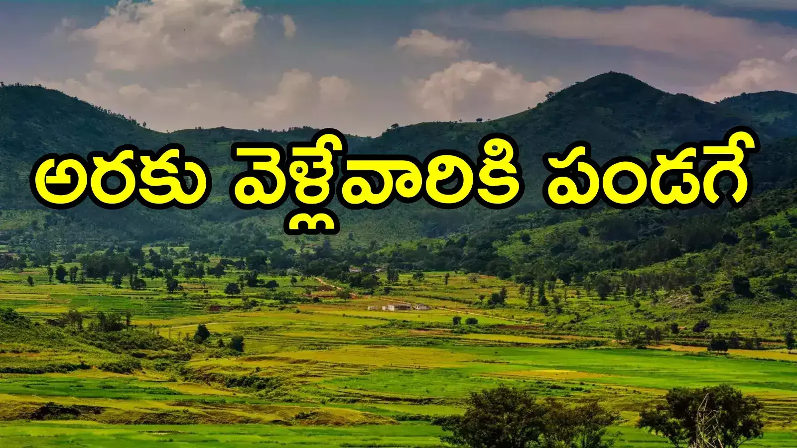 Paderu ITDA PO Submits Araku Utsav 2025 Report to Andhra Pradesh ...