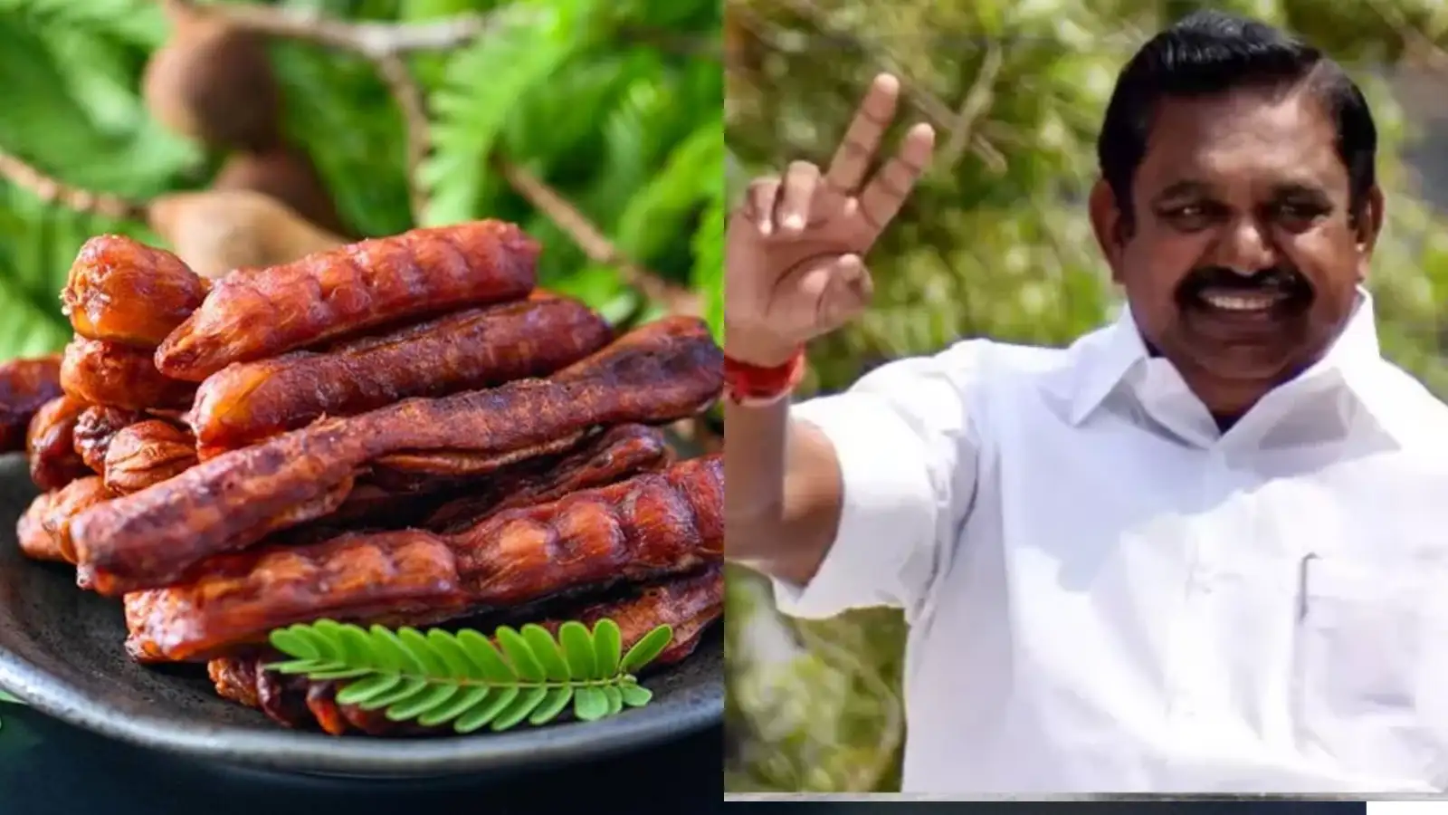 அதிமுக ஆட்சி அமைந்தவுடன் புளி பதன கிடங்கு! விவசாயிகளுக்கு எடப்பாடி ...