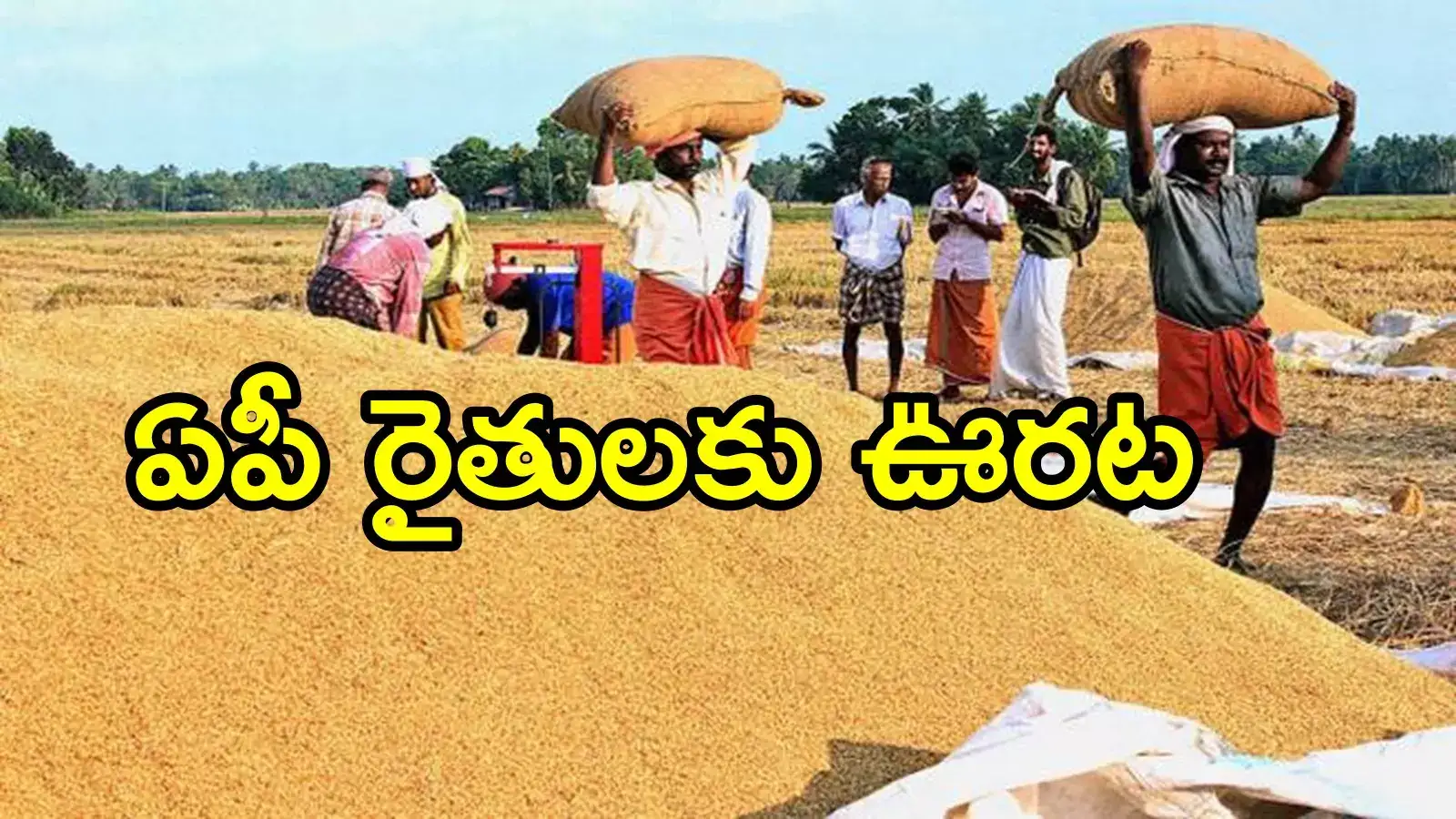 AP Govt Paddy Pprocurement Money Deposit to Farmers Accounts in 48 ...